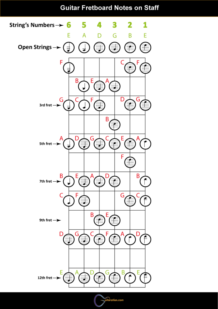 A helpful illustrated Guitar Fretboard Notes Guide!